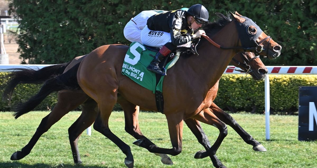 Running Bee continues Big Apple success with Artie Schiller score ...