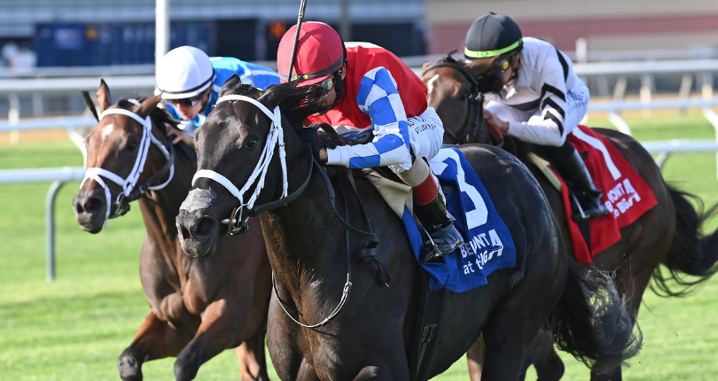 Sacred Wish pursues graded glory in G3 Pebbles | Aqueduct